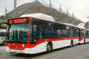Naples Bus Tours Hop On Hop Off - Schedules, Routes, and Booking ...